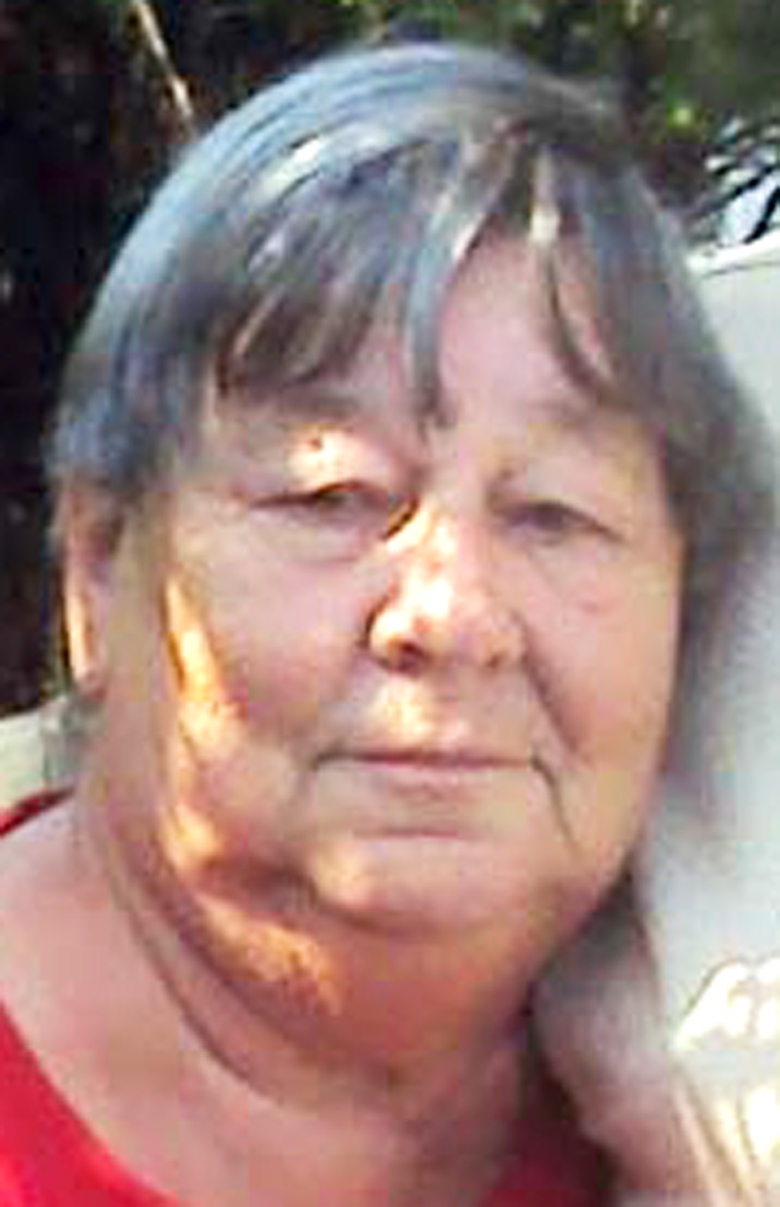 Irene P. Little | News, Sports, Jobs - Observer Today